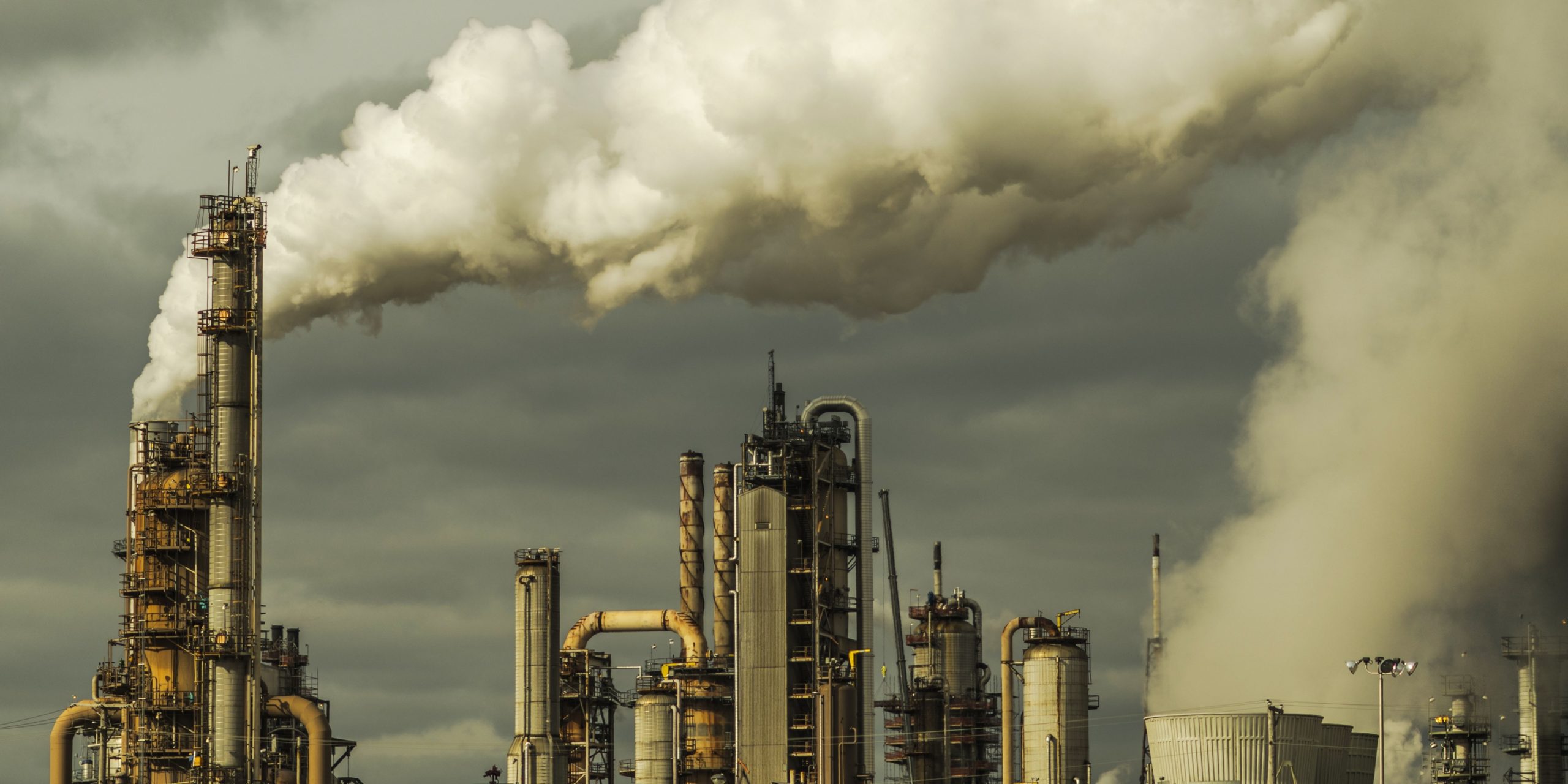 Environmental Toxins and Kidney Health — Integrative Kidney