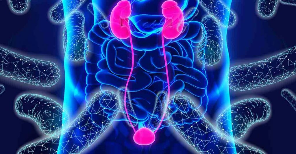 Comprehensive Gut Restoration and Progression of CKD — Integrative Kidney