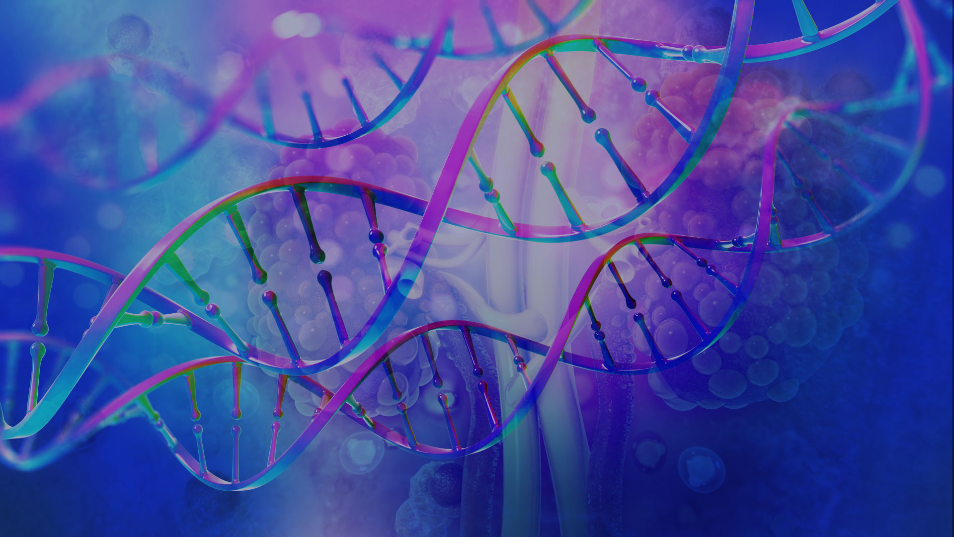 Home — Integrative Kidney